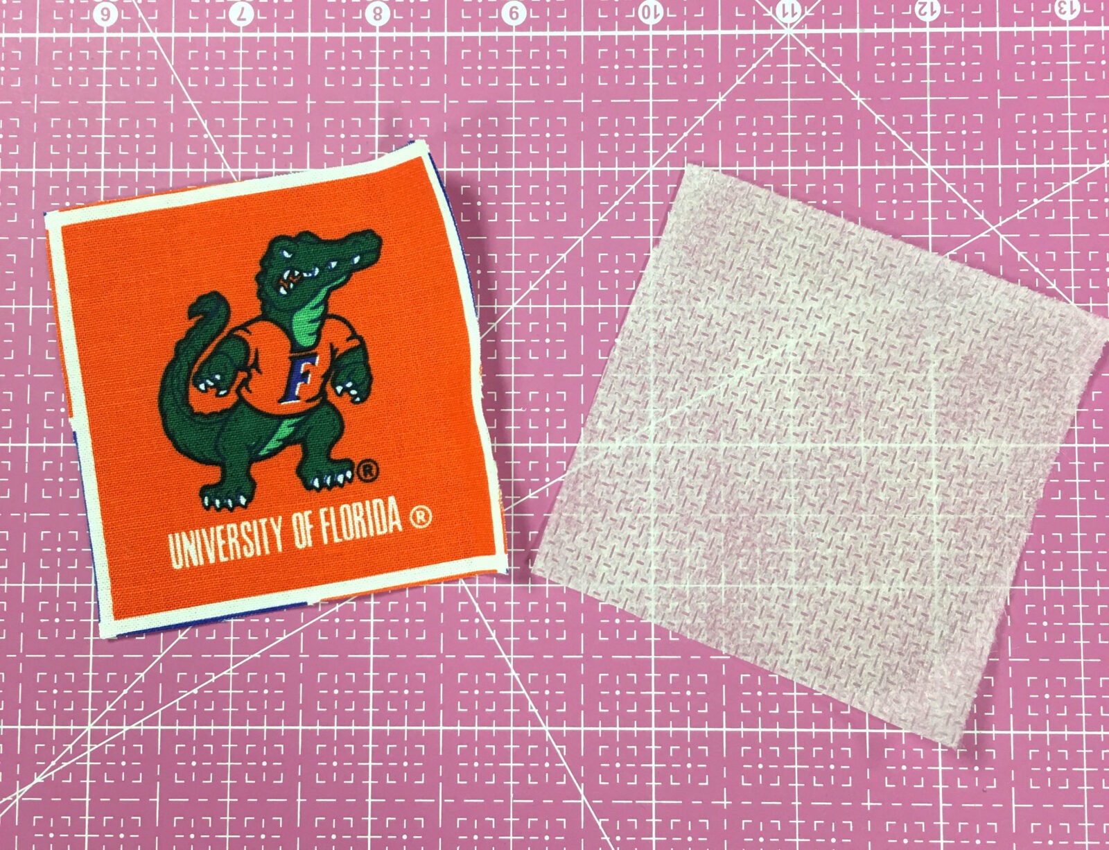 DIY Clear Vinyl Bag - A Game Day Essential! - Sulky