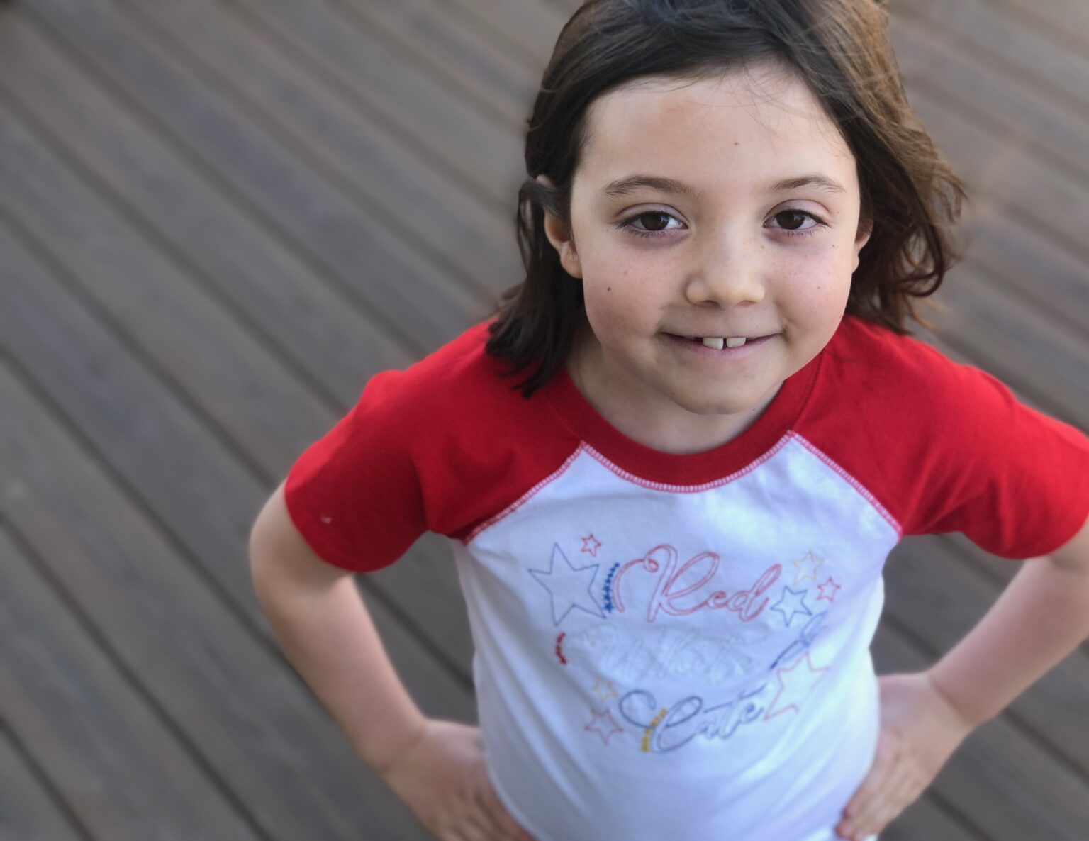 Machine Embroidered Tee to Celebrate the Fourth - Sulky