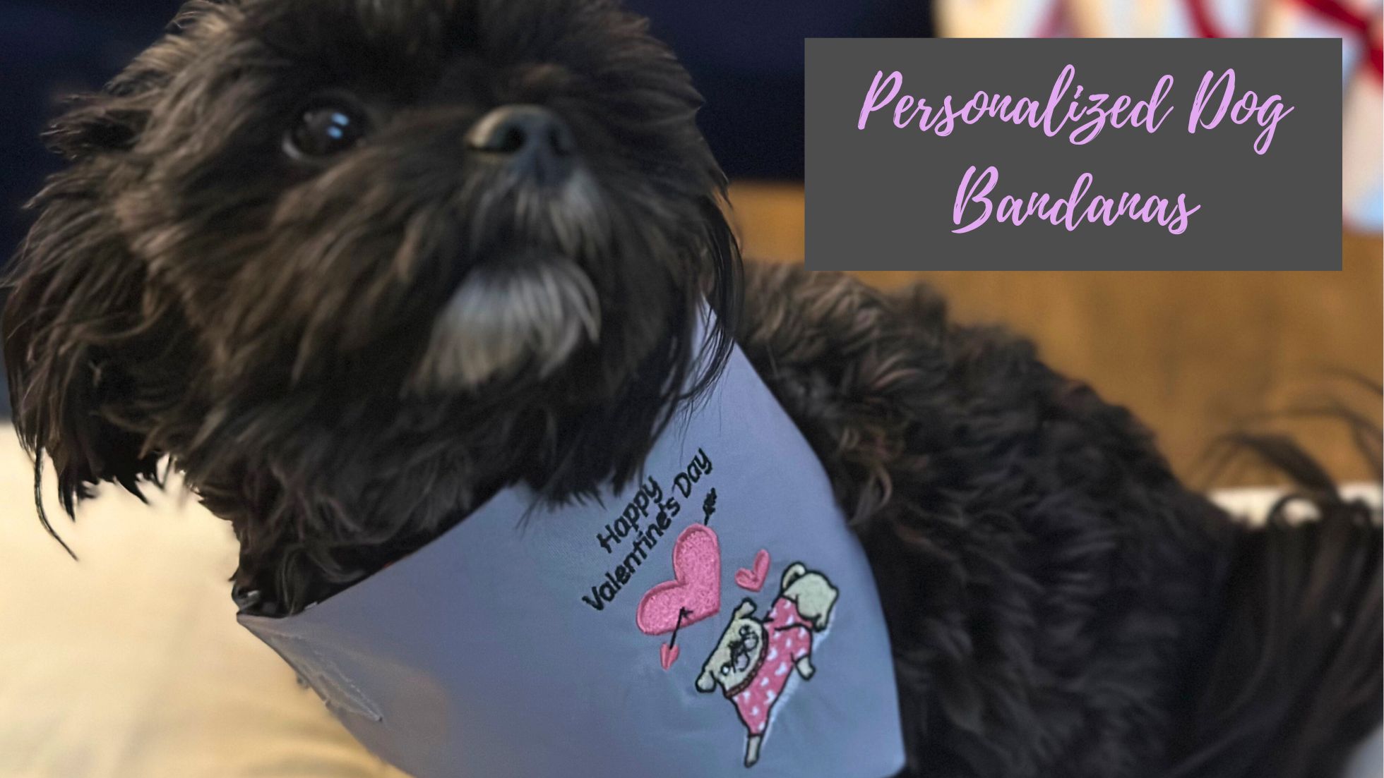 Embroidered Dog Bandanas - Sulky